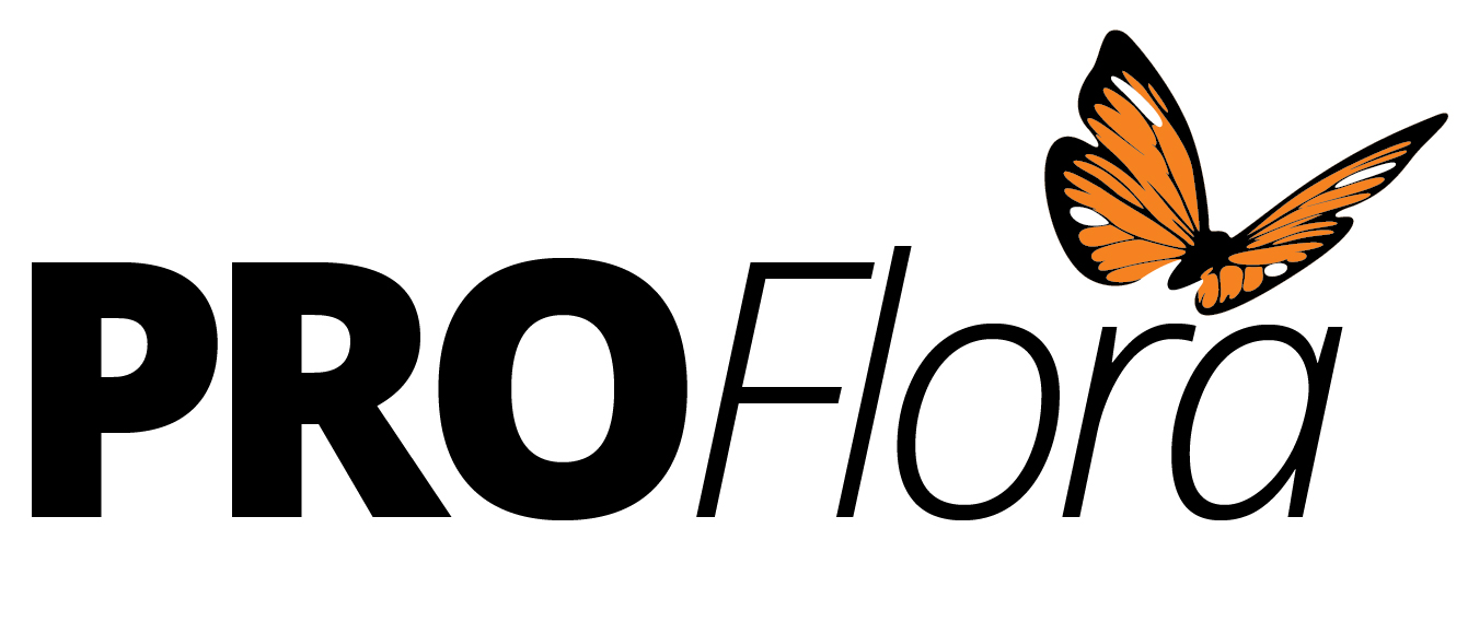 Download a catalogue